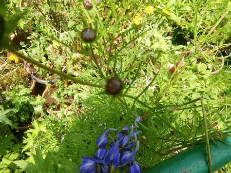 Sample Result Of The Implemented System Download Scientific Diagram