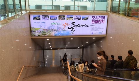 전국 공항광고 항공사광고