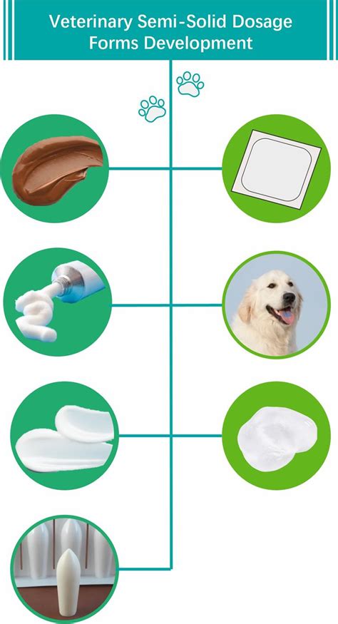 Veterinary Semi Solid Dosage Forms Development Cd Formulation