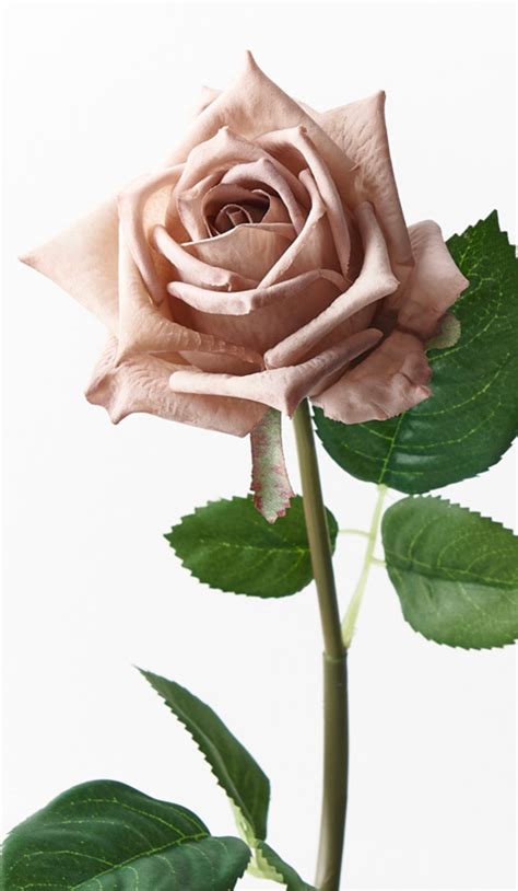Real Touch Small Lola Rose Coffee Jkf And Co Pty Ltd