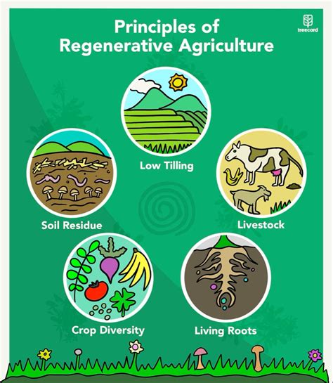 5 Principles Of Regenerative Agriculture Artofit