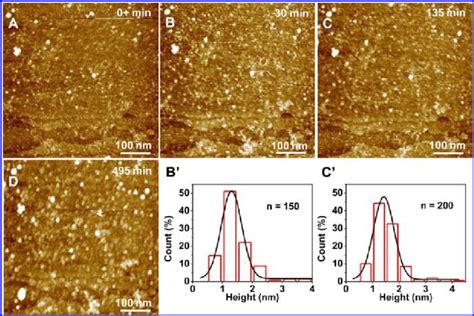 Modulation Of Ca−p Nucleation By Citrate A−d A Sequence Of In Situ Download Scientific