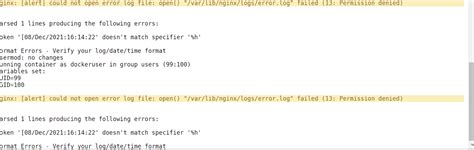 View Nginx Proxy Manager Access Logs In A Beautiful Dashboard With Goaccess Page 2 Docker