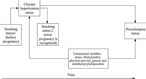 Collider Bias Occurs When Adjusting The Analysis For A Variable That Is