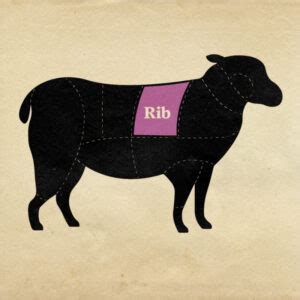 Lamb Cuts Explained By Owtons Butchers Ultimate Guide
