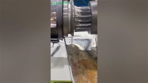 기름짜는기계참기름짜는기계oilpressmachine Oilpress Pressure Oilpresser 착유기참기름 저온압착기계냉압착기계 Youtube