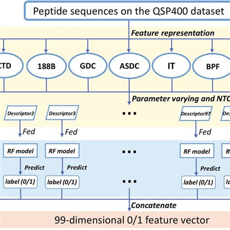 Pipeline Of The Feature Representation Learning Scheme Firstly A