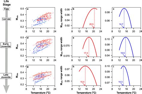estimation of optimal temperatures based on metabolic proxy moto and