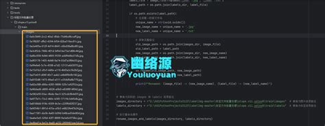 python批量修改yolo数据集图片和标签名称为uuid 幽络源教程