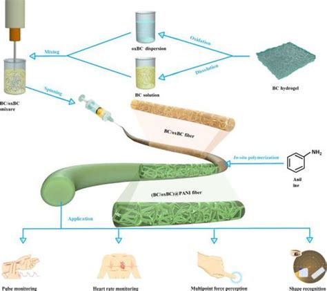 通过组装细菌纤维素 Bc 纳米原纤维和 Bc 分子来实现生物相容性应变传感的超软、灵敏的类纤维传感器nano Research X Mol