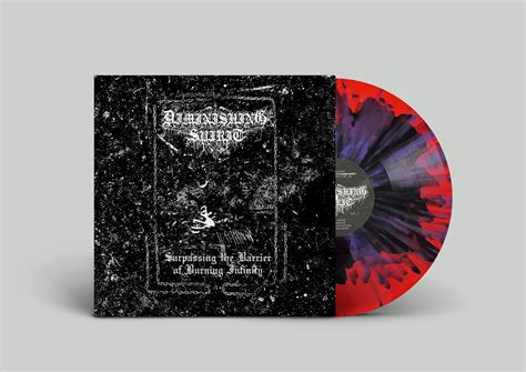 Diminishing Spirit Surpassing The Barrier Of Burning Infinity Vinyl