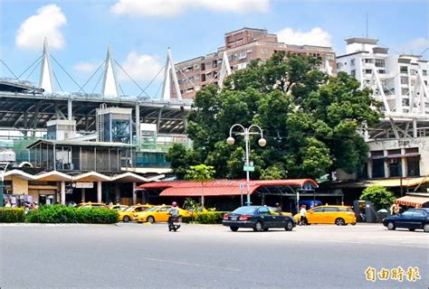 屏東舊站百年芒果樹 回天乏術 地方 自由時報電子報
