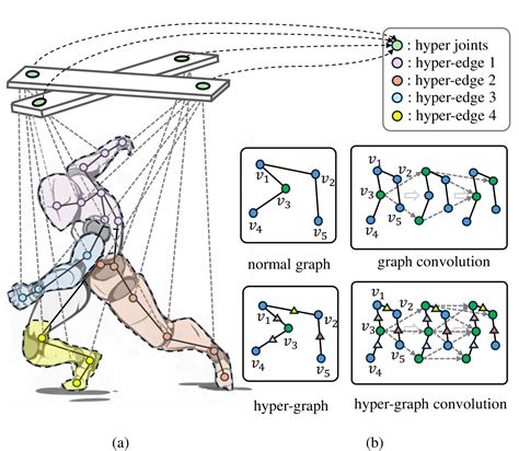 Adaptive Hyper Graph Convolution Network For Skeleton Based Human