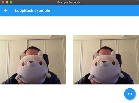 Wip Support For Flutter Desktop · Issue 37 · Flutter Webrtcflutter