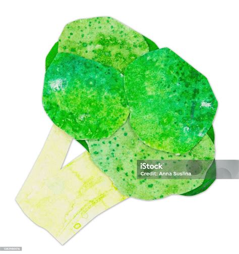 손으로 그린 수채화 종이 컷 녹색 브로콜리 밝은 귀여운 가와이 키드 코어 스타일 일러스트 농산물 시장 슈퍼마켓 제품 디자인 스티커 또는 엽서에 적합 과일에 대한 스톡 벡터