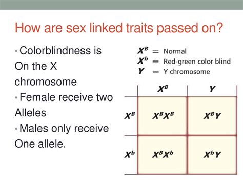 Patterns Of Inheritance Ppt Download