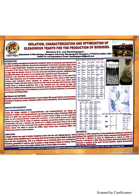 Pdf Isolation Characterization And Optimization Of Oleaginous Yeasts For The Production Of