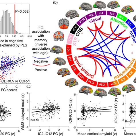 functional connectivity fc correlates the education education was
