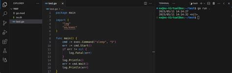 Golang笔记：使用exec包执行外部程序与shell命令golang Exec Csdn博客