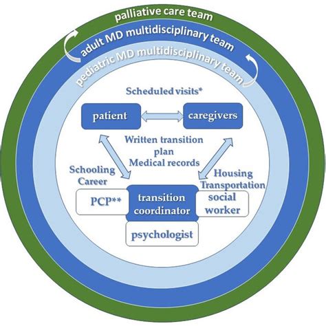 Transition Framework From Pediatric To Adult Care For Emerging Adults Download Scientific