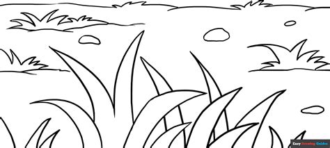 Printable Grass Coloring Pages 2025