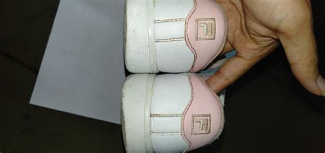 🐻 Pppppannnn Twitter