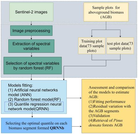 The Methodological Framework Of Estimating The Forest Above Ground Download Scientific Diagram
