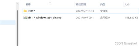 jdk17安装教程及环境变量配置 csdn博客
