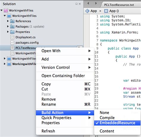 Working With Files In Xamarin Forms Mobilewits