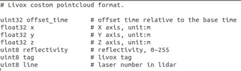 Livox Lidar点云数据类型的转化——livoxrosdrivercustommsg到sensormsgs