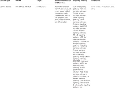 Lncrna Xist And Mirna In Non Cancer Related Disease Download