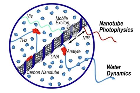 Homepage Chair Of Physical Chemistry Ii