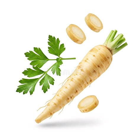 Parsnip With Leaves And Slices Isolated On White Background Parsnip Root And Parsley In Motion Parsnip With Leaves And Slices Isolated On White Background Parsnip Root And Parsley In Motion