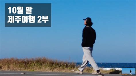 10월말 제주도 여행 2부 서핑 월정리 세화리 맛집 카페 Youtube