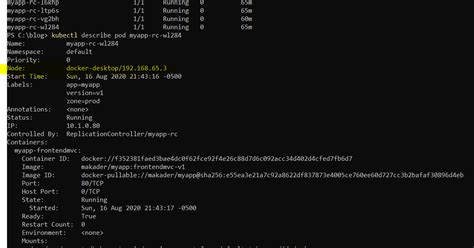 Daynight Access Aspnet Core Mvc Application With Kubernetes And Nodeport