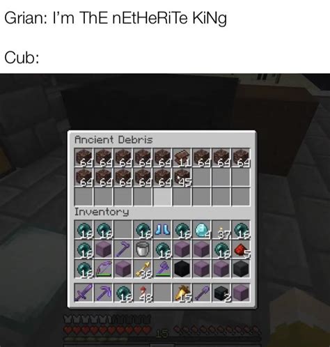 167 Best Netherite Images On Pholder Phoenix Sc Minecraft Memes And Mcpe