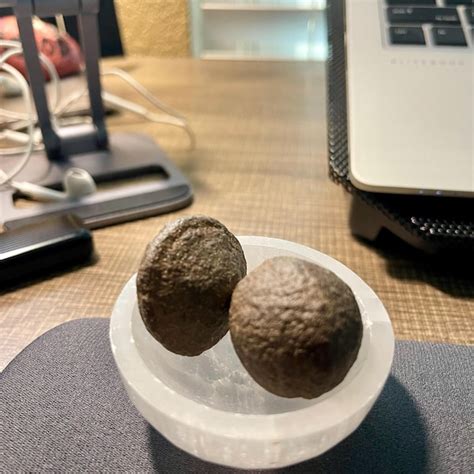 Mosasaurus Jaw Bone Fossil With Three Tooth Fossils Morocco 109gr Etsy