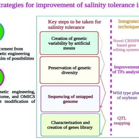 Salinity Tolerance In Soybean Can Be Improved By Using Novel Techniques