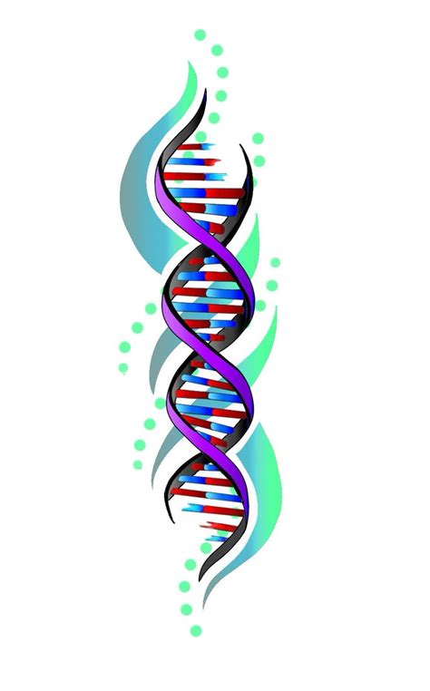 Vibrant Dna Strand Digital Drawing Etsy Digital Drawing Dna Art Dna