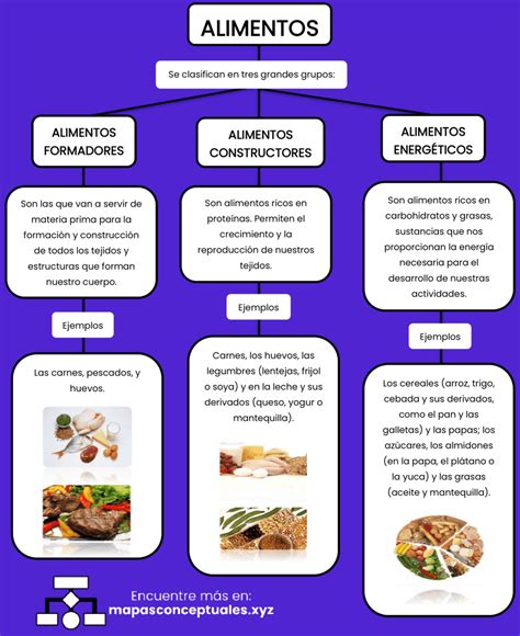Mapas Conceptuales De Los Alimentos 【descargar】