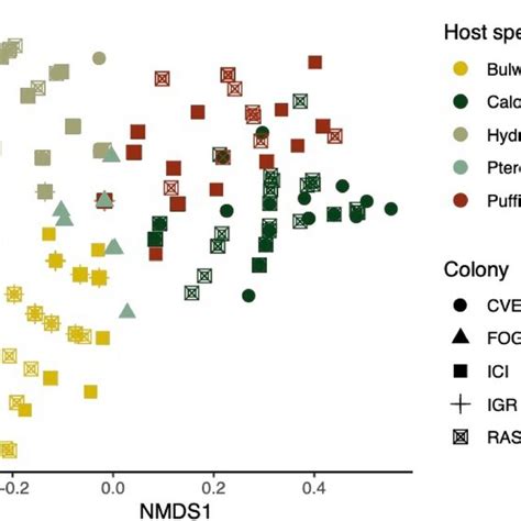 Non Metric Multidimensional Scaling Ordination Plot Based On Jaccard