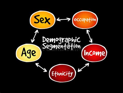Demographic Segmentation Business Diagram Illustration Stock