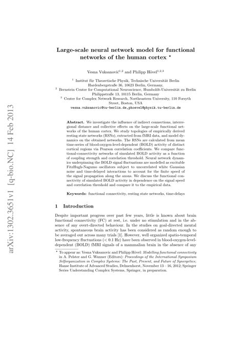 Pdf Large Scale Neural Network Model For Functional Networks Of The