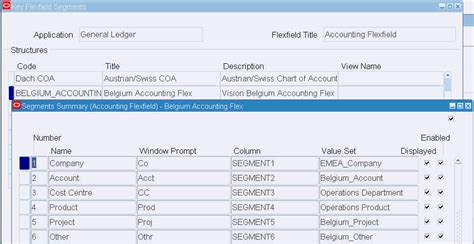 Oracle E Business Suite Flexfields Guide