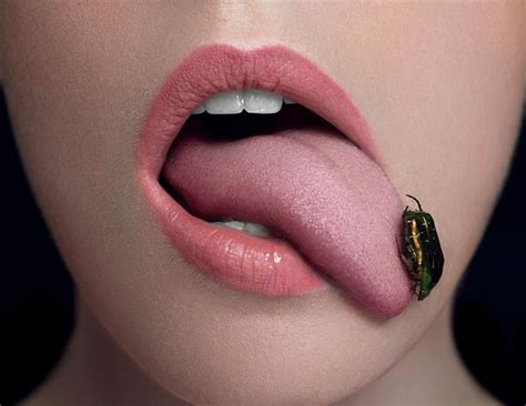 About Sex คลังคลั่งรัก