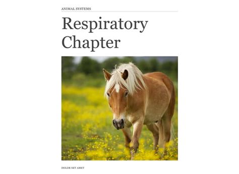 Respiratory System Of Goat Ppt