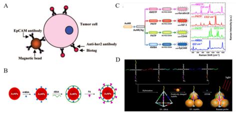 Biosensors Special Issue Nanomaterial Based Biosensors For Biomedical Applications