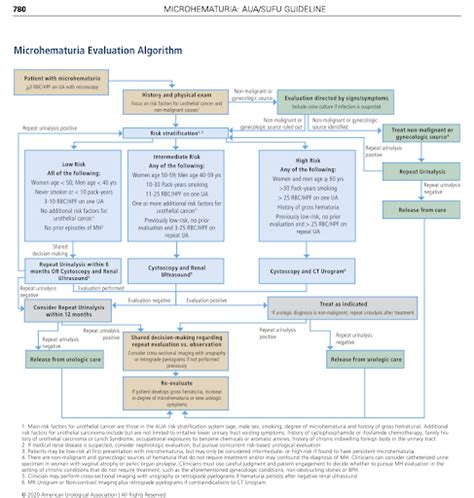 Hematuria — Weekly Notes — Creogs Over Coffee