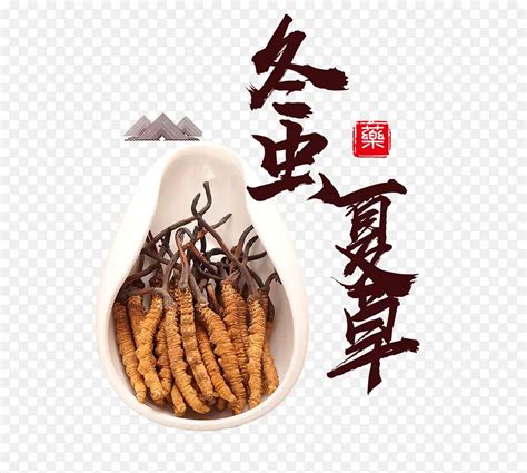 冬虫夏草PNG图片素材下载 图片编号8956815 PNG素材网