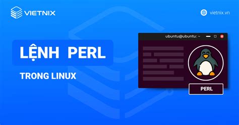 Hướng Dẫn 2 Cách Kiểm Tra Ip Trong Linux đơn Giản